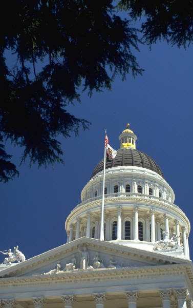 Statewide Preparer Service statewide-preparer-service